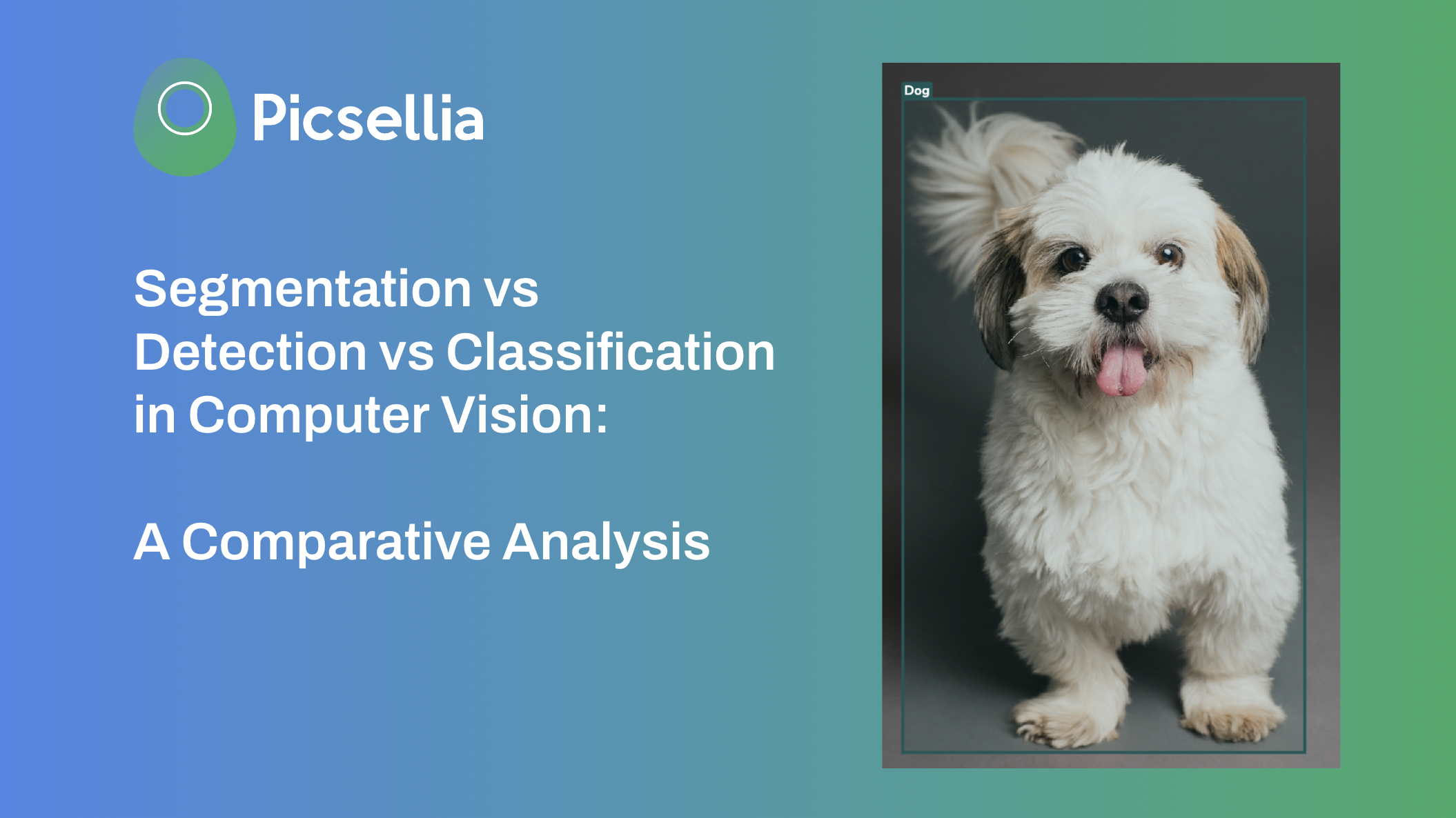 Segmentation vs Detection vs Classification in Computer Vision: A ...